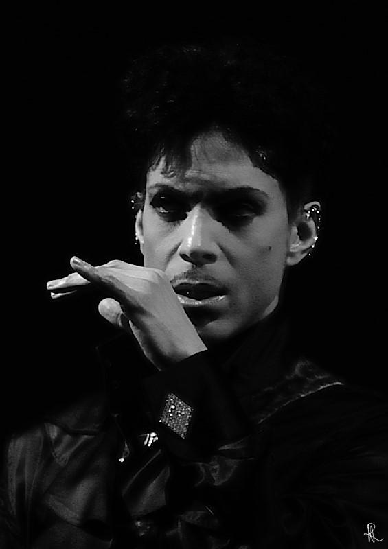 Roberto Ugolini Photography - Prince, Inglese