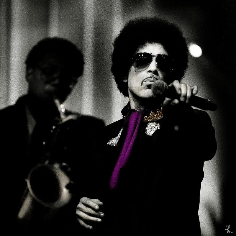 Roberto Ugolini Photography - Prince, Inglese